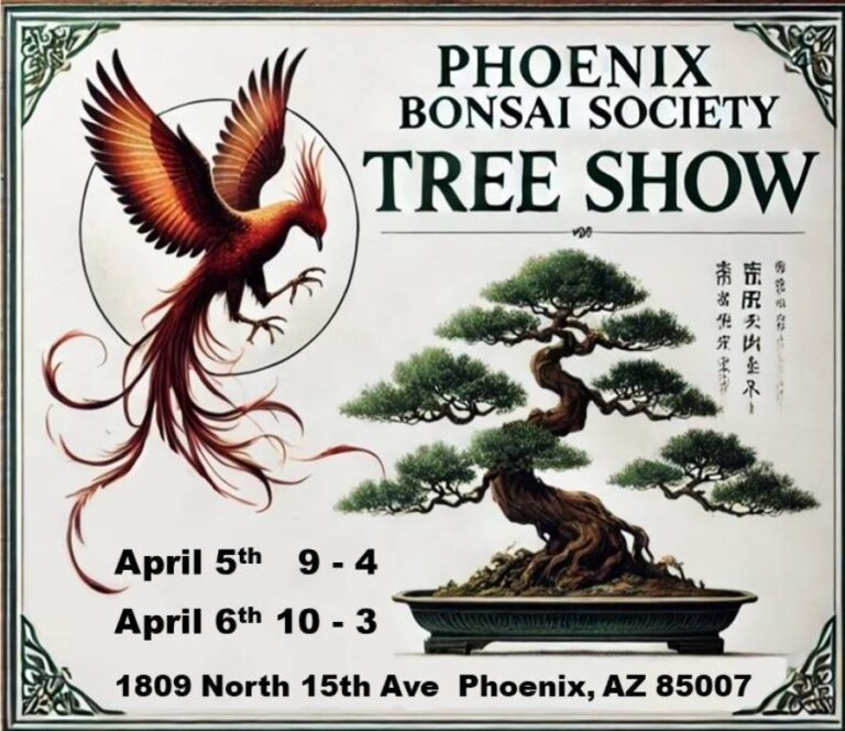 Phoenix Bonsai Society – An Educational Non-Profit Dedicated to the Art ...